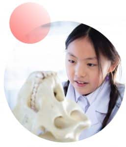 Strathcona Girls Grammar School | Independent Girls School